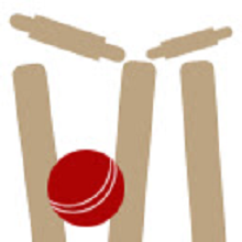 Free Download Live Cricket Score extension 1.1 for Microsoft Edge